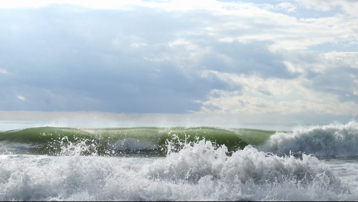 Backcountry Hunters & Anglers > Issues > Details