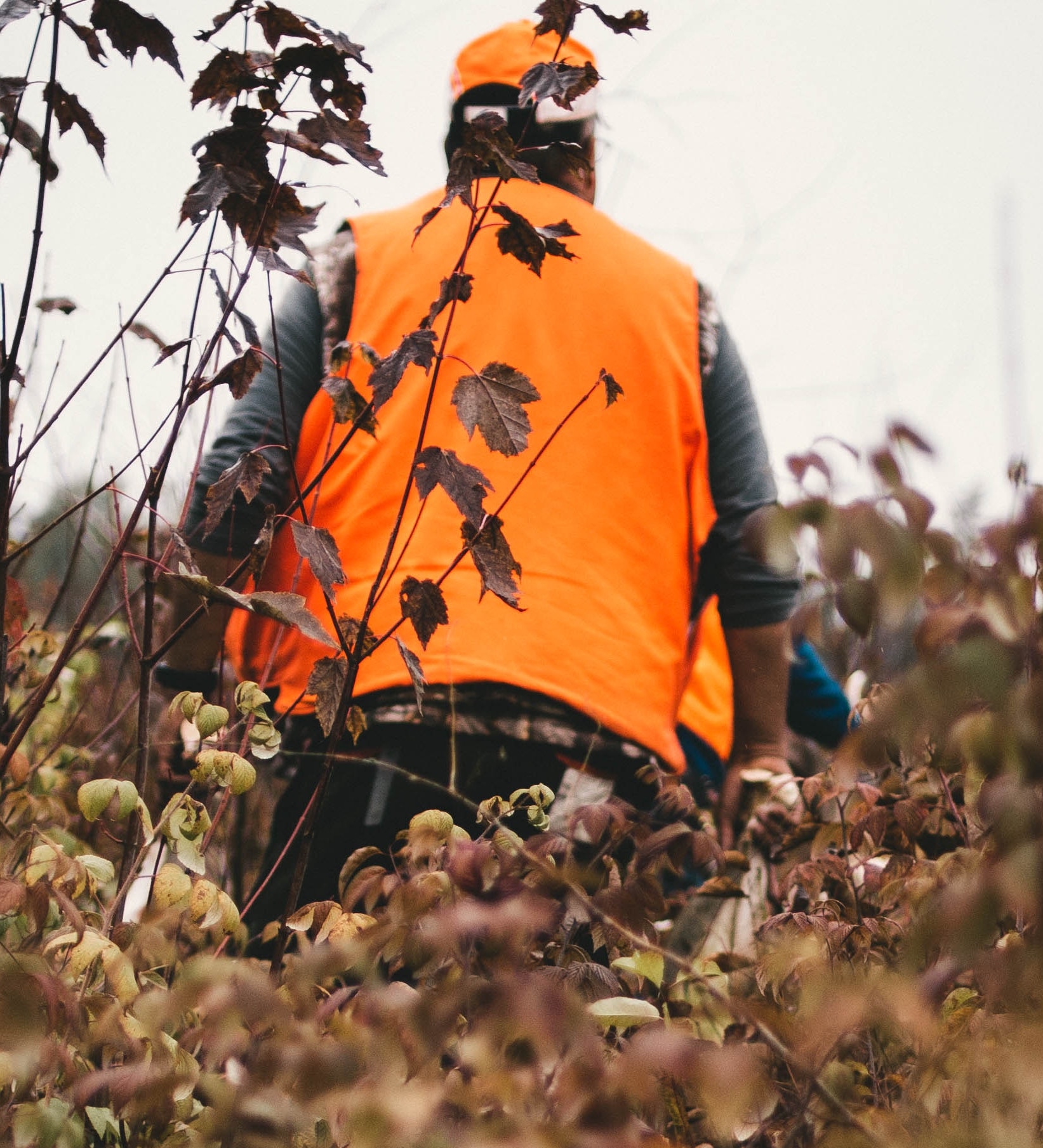Backcountry Hunters & Anglers > Issues > Details