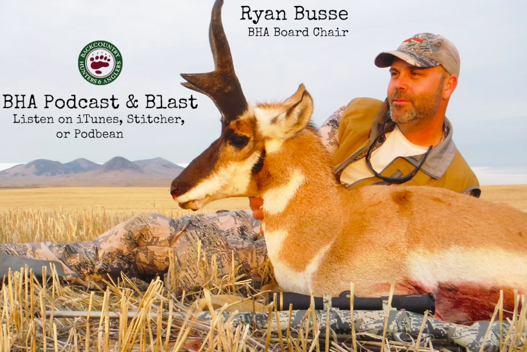 Backcountry Hunters & Anglers > Issues > Details