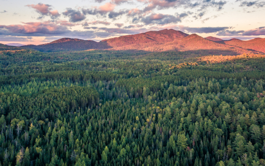 Deer Management Permits in the Adirondacks of NY Should...