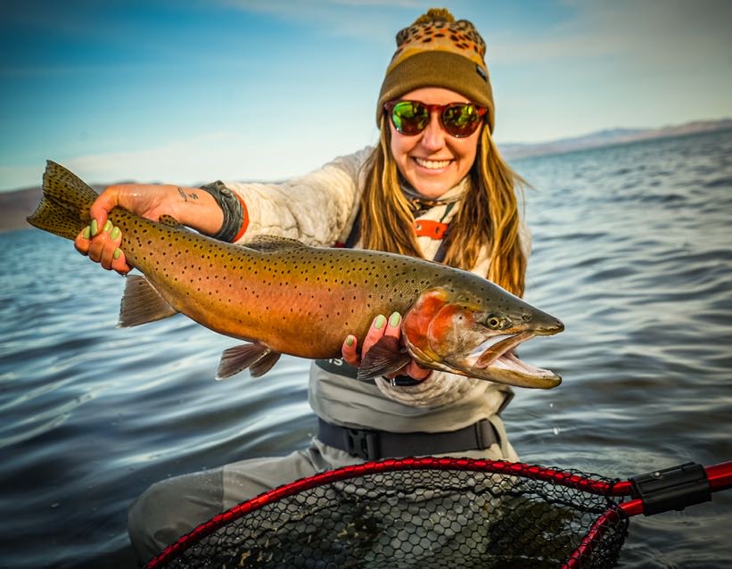 Backcountry Hunters & Anglers > News > Details